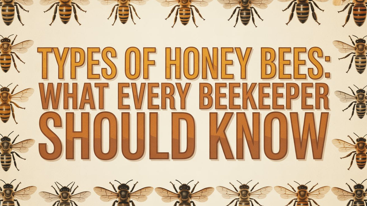 Types of Honey Bees: What Every Beekeeper Should Know