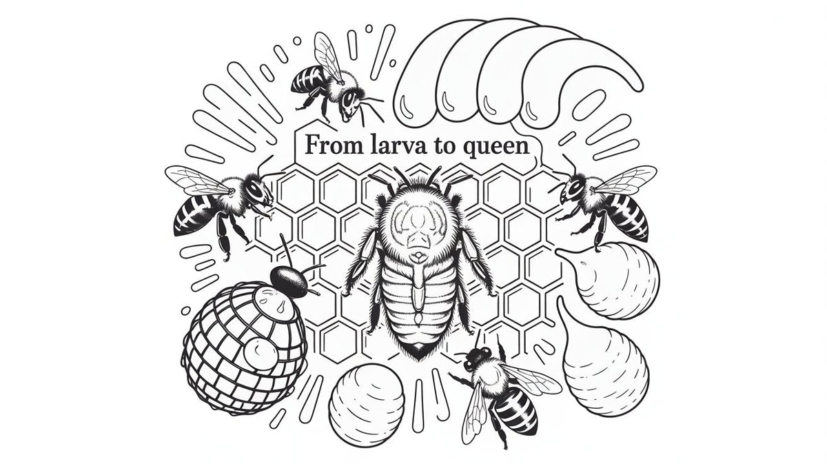 How Does a Bee Become Queen? The Fascinating Science Behind Hive Royal