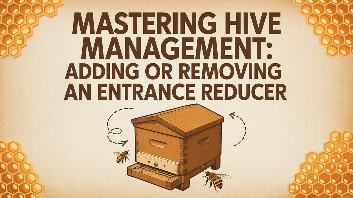 Mastering Hive Management: Ajout ou supprimer un réducteur d'entrée