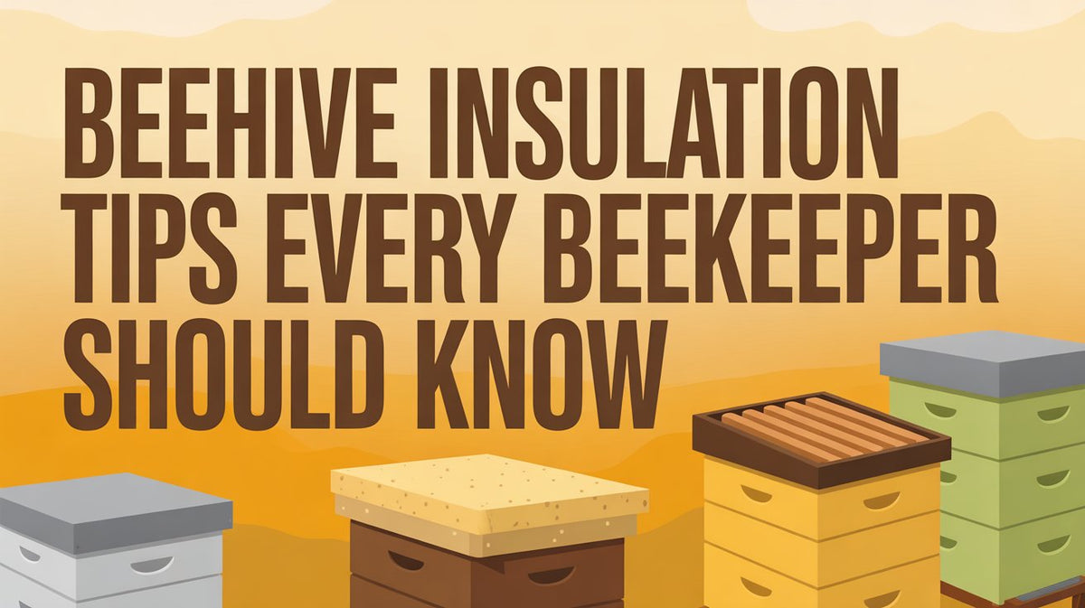 Beehive Insulation Tips Every Beekeeper Should Know