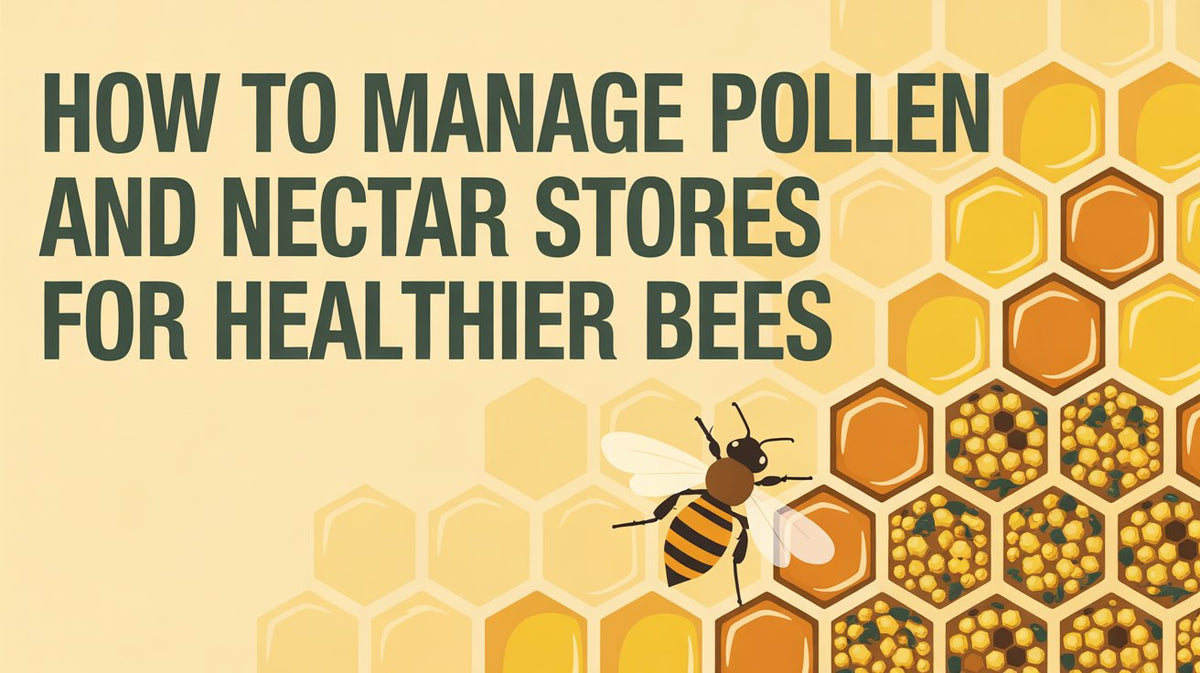 Comment gérer les réserves de pollen et de nectar pour des abeilles en