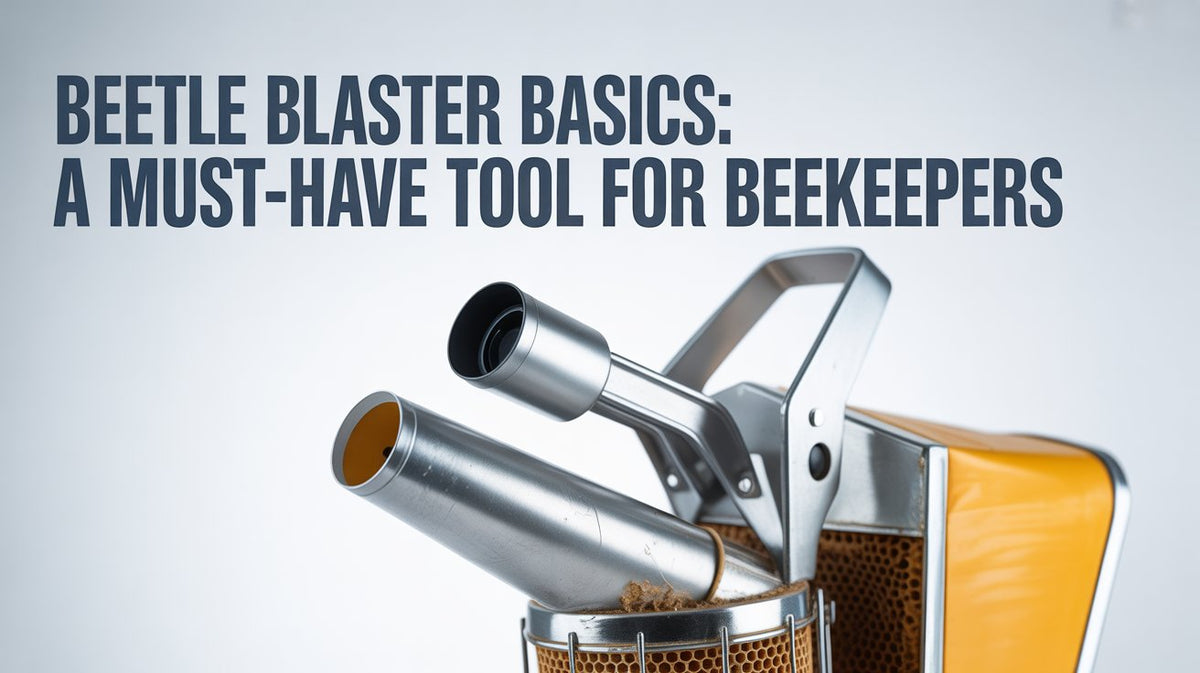 Notions de base sur le Beetle Blaster : un outil indispensable pour les ...