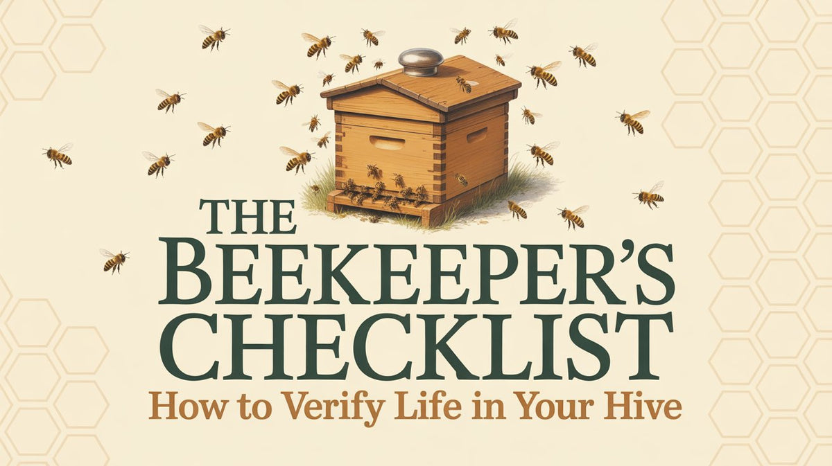 Is Your Hive Healthy? A Beekeeper’s Step-By-Step Guide to Verifying Li