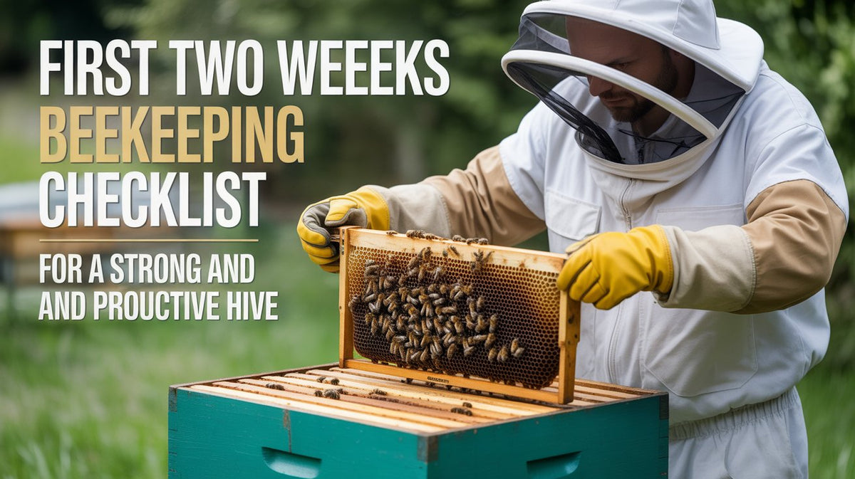 First Two Weeks Beekeeping Checklist for a Strong and Productive Hive ...