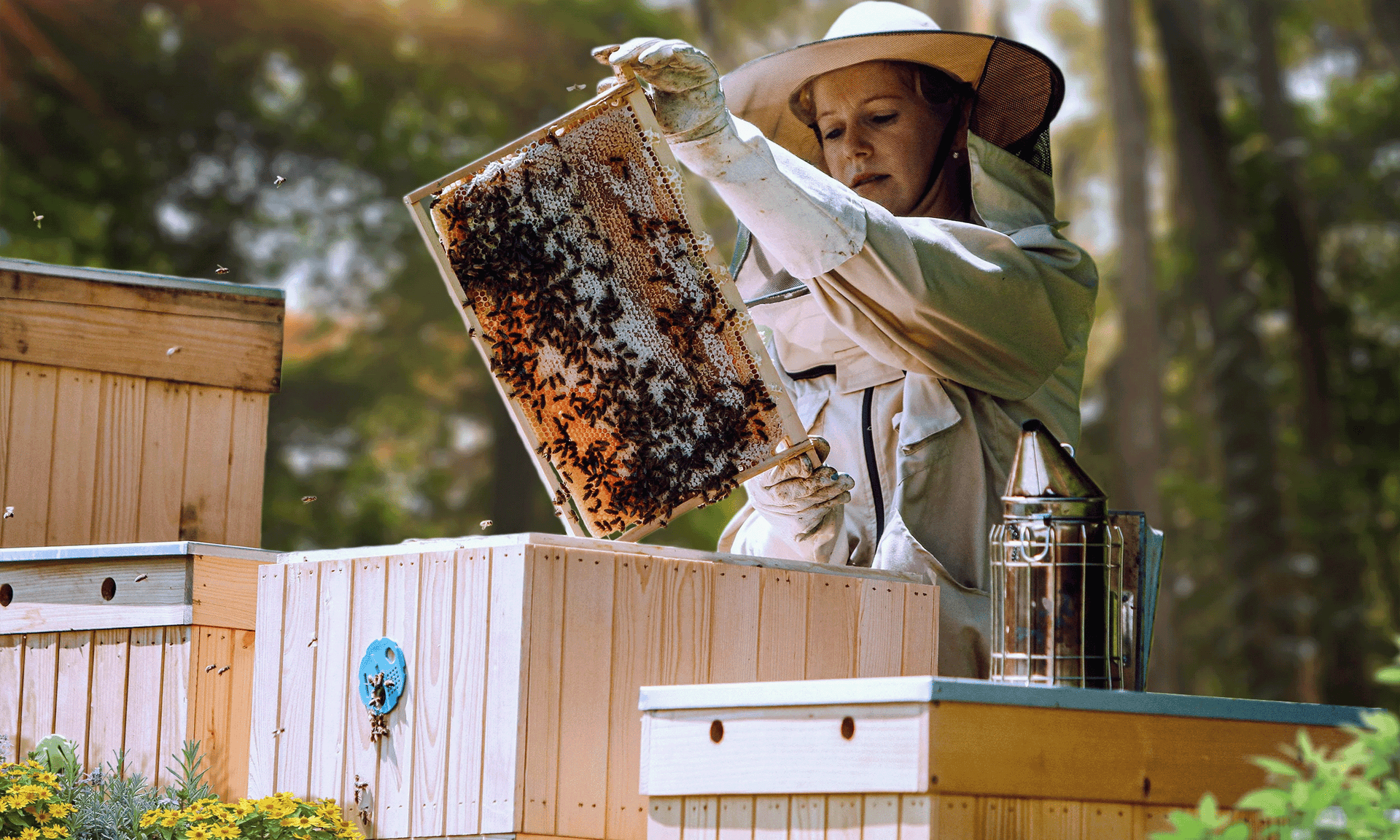 OZ ARMOUR: Bee Protected with Our Bee Keeper Suits